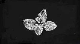 Oregano | Red Dead Wiki | Fandom