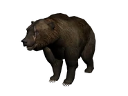 Brumas the Bear | Red Dead Wiki | Fandom