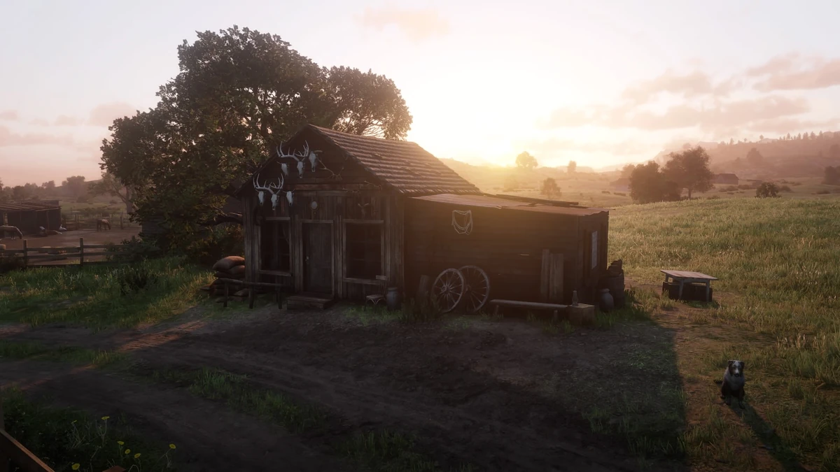 Emerald General Store | Red Dead Wiki | Fandom