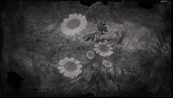Wild Feverfew | Red Dead Wiki | Fandom