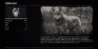 Wolf (RDR 2) | Red Dead Wiki | Fandom