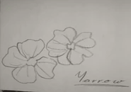 Yarrow | Red Dead Wiki | Fandom