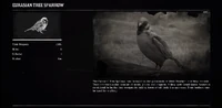 Sparrow | Red Dead Wiki | Fandom