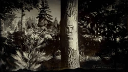 faces in trees rdr2