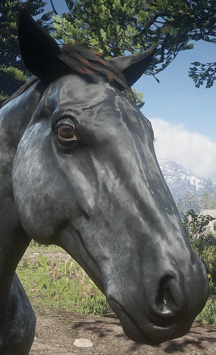 Taima | Red Dead Wiki | Fandom