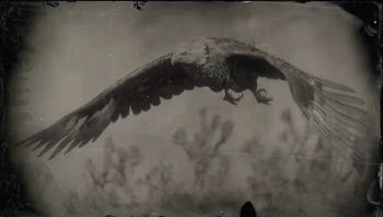 Eagle (RDR 2) | Red Dead Wiki | Fandom