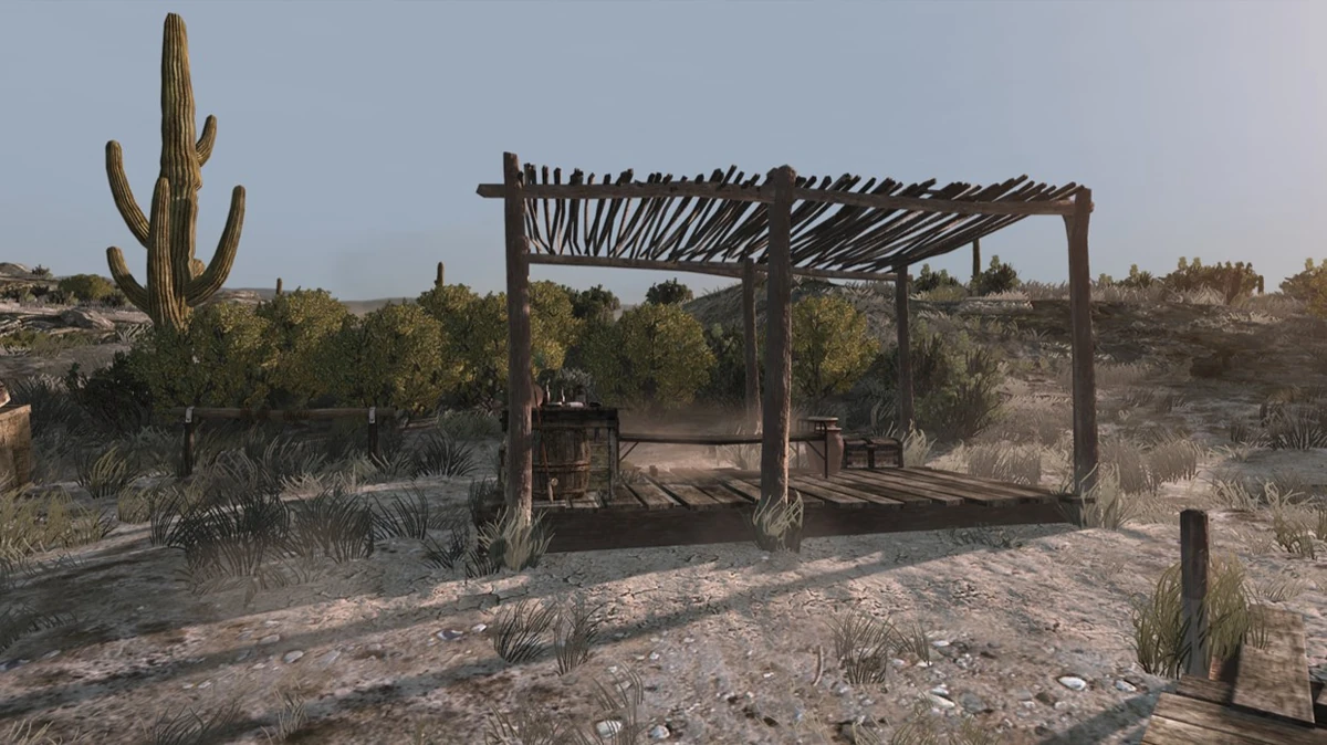 Irish's Shack | Red Dead Wiki | Fandom