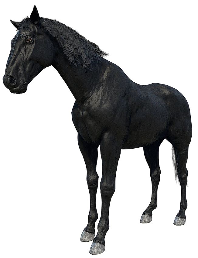 Where Is The American Standardbred In Rdr2