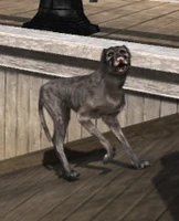 Dog | Red Dead Wiki | Fandom