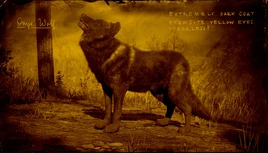 Legendary Onyx Wolf | Red Dead Wiki | Fandom