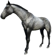 Turkoman | Red Dead Wiki | Fandom