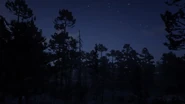 Cumberland Forest | Red Dead Wiki | Fandom
