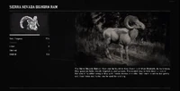 Bighorn (RDR 2) | Red Dead Wiki | Fandom