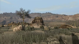 The Hanging Rock | Red Dead Wiki | Fandom