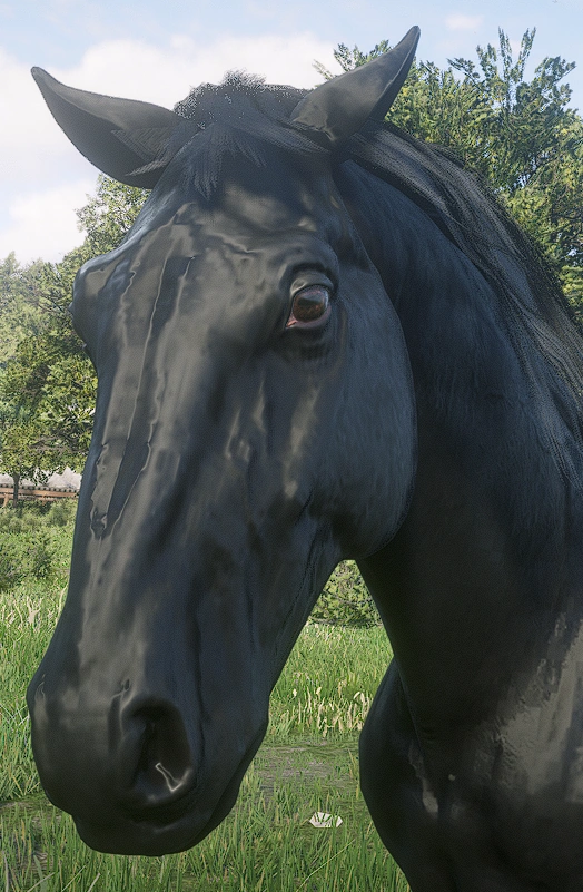 Ariel | Red Dead Wiki | Fandom