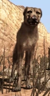 Dog | Red Dead Wiki | Fandom