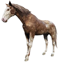 Kentucky Saddler (RDR 2) | Red Dead Wiki | Fandom