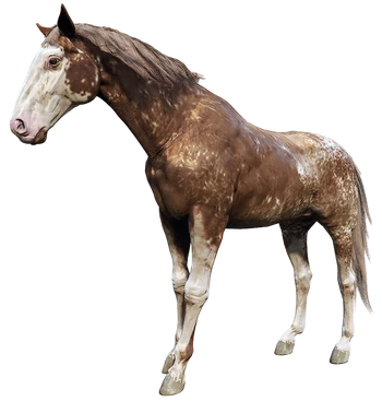 Nell II | Red Dead Wiki | Fandom