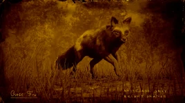 Legendary Cross Fox | Red Dead Wiki | Fandom