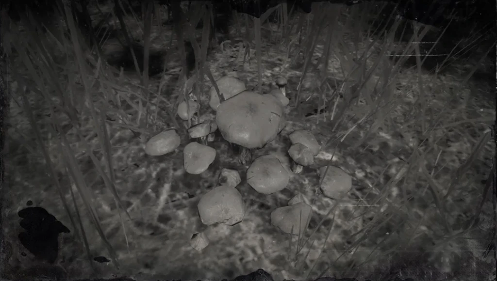 Bay Bolete | Red Dead Wiki | Fandom