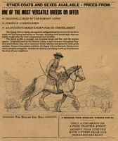 Gypsy Cob | Red Dead Wiki | Fandom