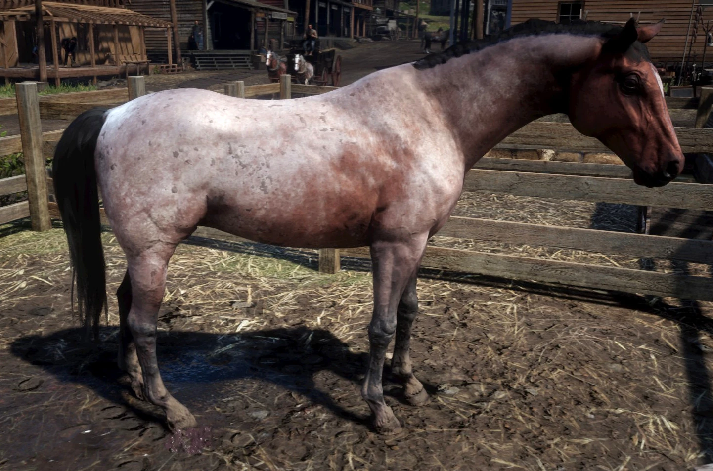 Morgan | Red Dead Wiki | Fandom