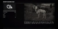 Bighorn (RDR 2) | Red Dead Wiki | Fandom