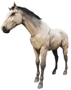 American Standardbred (RDR 2) | Red Dead Wiki | Fandom