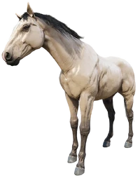 American Standardbred (RDR 2) | Red Dead Wiki | Fandom