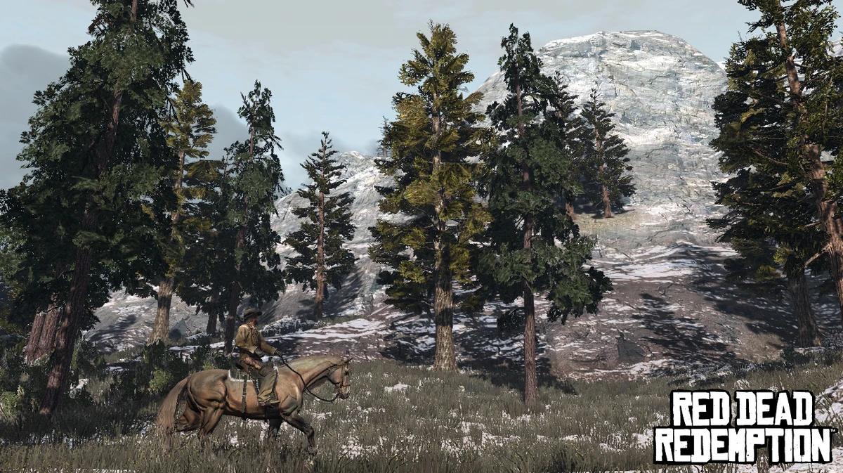 Tall Trees | Red Dead Wiki | Fandom