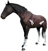 Tennessee Walker | Red Dead Wiki | Fandom