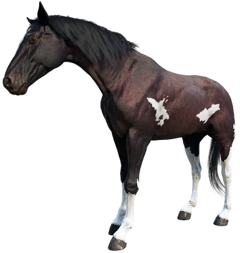 Tennessee Walker | Red Dead Wiki | Fandom