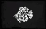 American Wild Flowers | Red Dead Wiki | Fandom