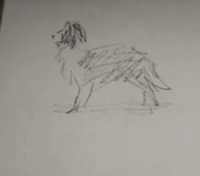 Dog (RDR2) | Red Dead Wiki | Fandom