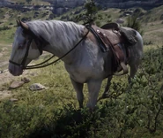 Eagle Flies | Red Dead Wiki | Fandom