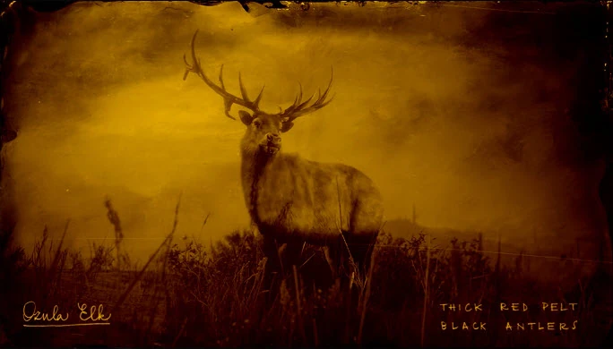 Legendary Ozula Elk | Red Dead Wiki | Fandom