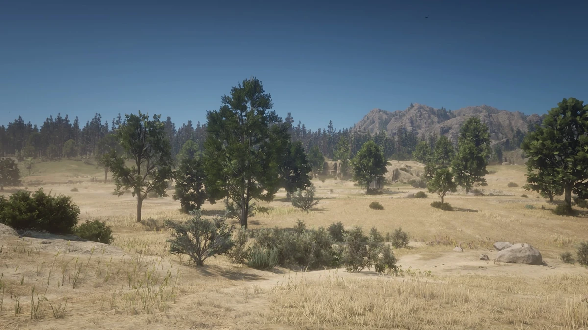 Beecher's Hope | Red Dead Wiki | Fandom