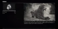Dog (RDR2) | Red Dead Wiki | Fandom