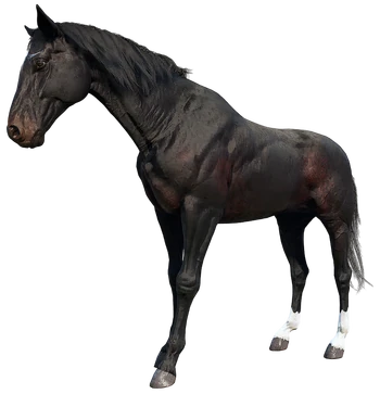 Rachel (RDR2) | Red Dead Wiki | Fandom