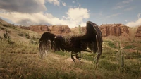 Vulture (RDR 2) | Red Dead Wiki | Fandom