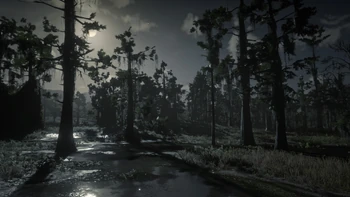 Bluewater Marsh | Red Dead Wiki | Fandom