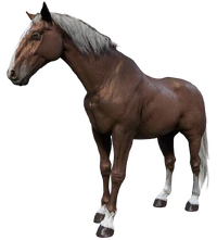 Hungarian Half-bred (RDR 2) | Red Dead Wiki | Fandom