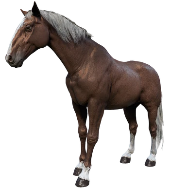 Hungarian Half-bred (RDR 2) | Red Dead Wiki | Fandom