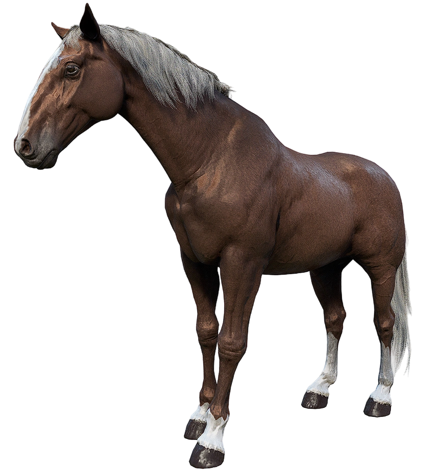 Discuss Everything About Red Dead Wiki | Fandom