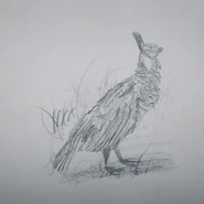 Chicken (RDR 2) | Red Dead Wiki | Fandom