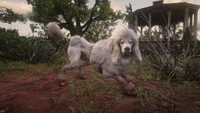 Dog (RDR2) | Red Dead Wiki | Fandom