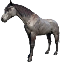 Karen Jones | Red Dead Wiki | Fandom