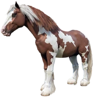 Gypsy Cob | Red Dead Wiki | Fandom