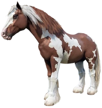 Gypsy Cob | Red Dead Wiki | Fandom