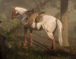 Branwen - Red Dead Redemption 2 Wiki